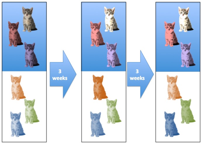 07 random effects utf8 md